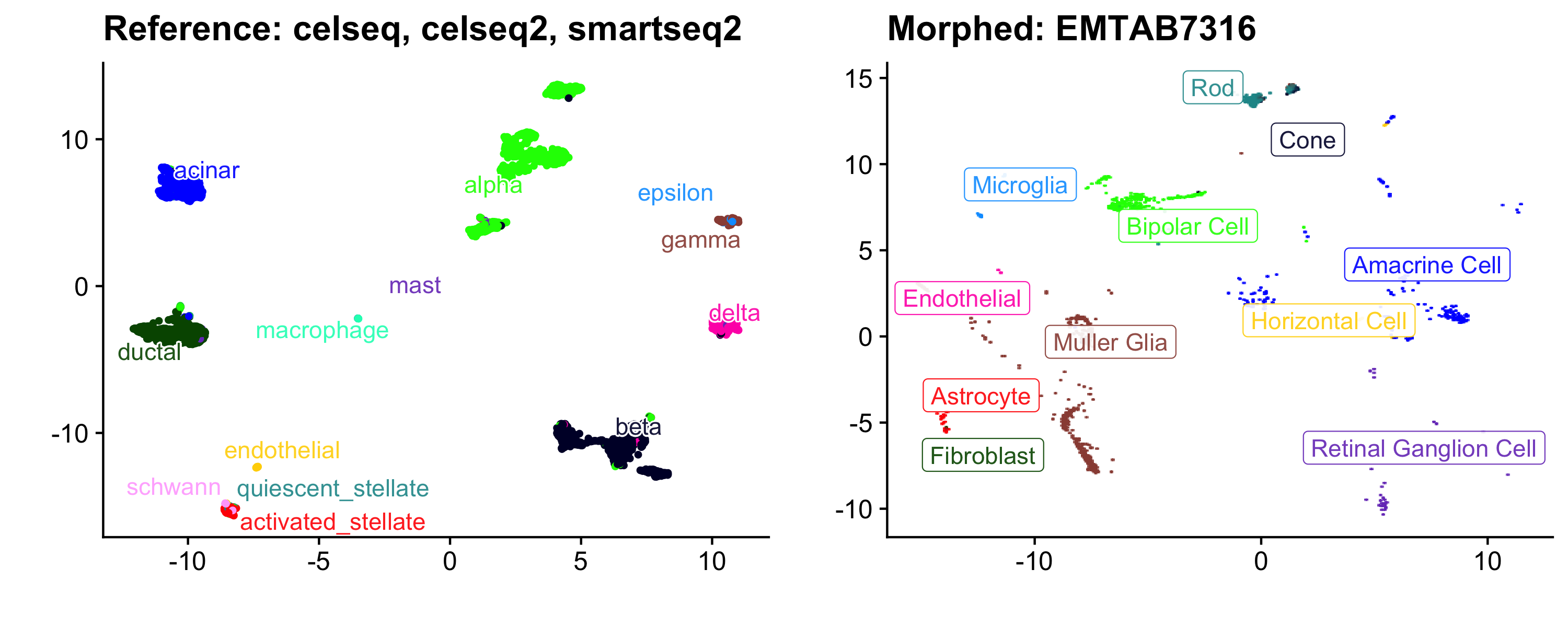 Transfer Labels from a Retina scRNA Reference onto a Query Dataset • metamoRph